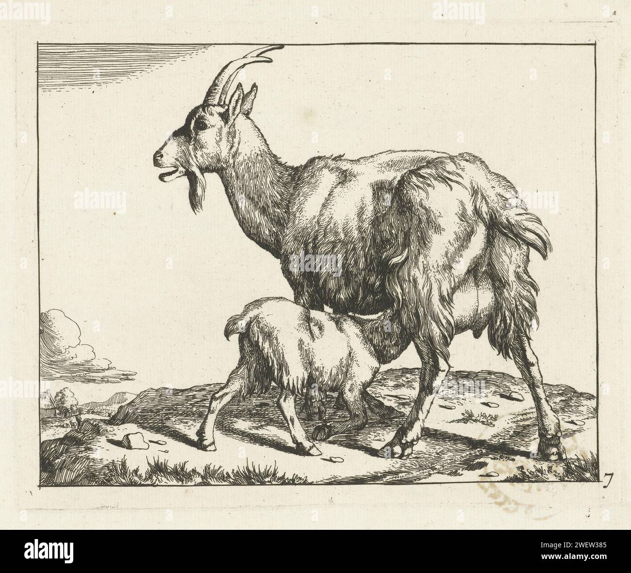 Goat with drinking lamb, Marcus de Bye, After Paulus Potter, 1728 - c ...