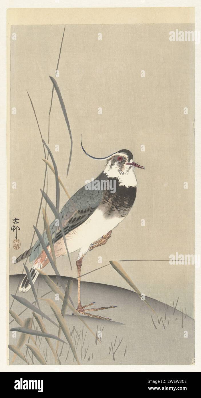 Kievit and Riet, Ohara Koson, 1900 - 1930 print Kievit, to the right ...