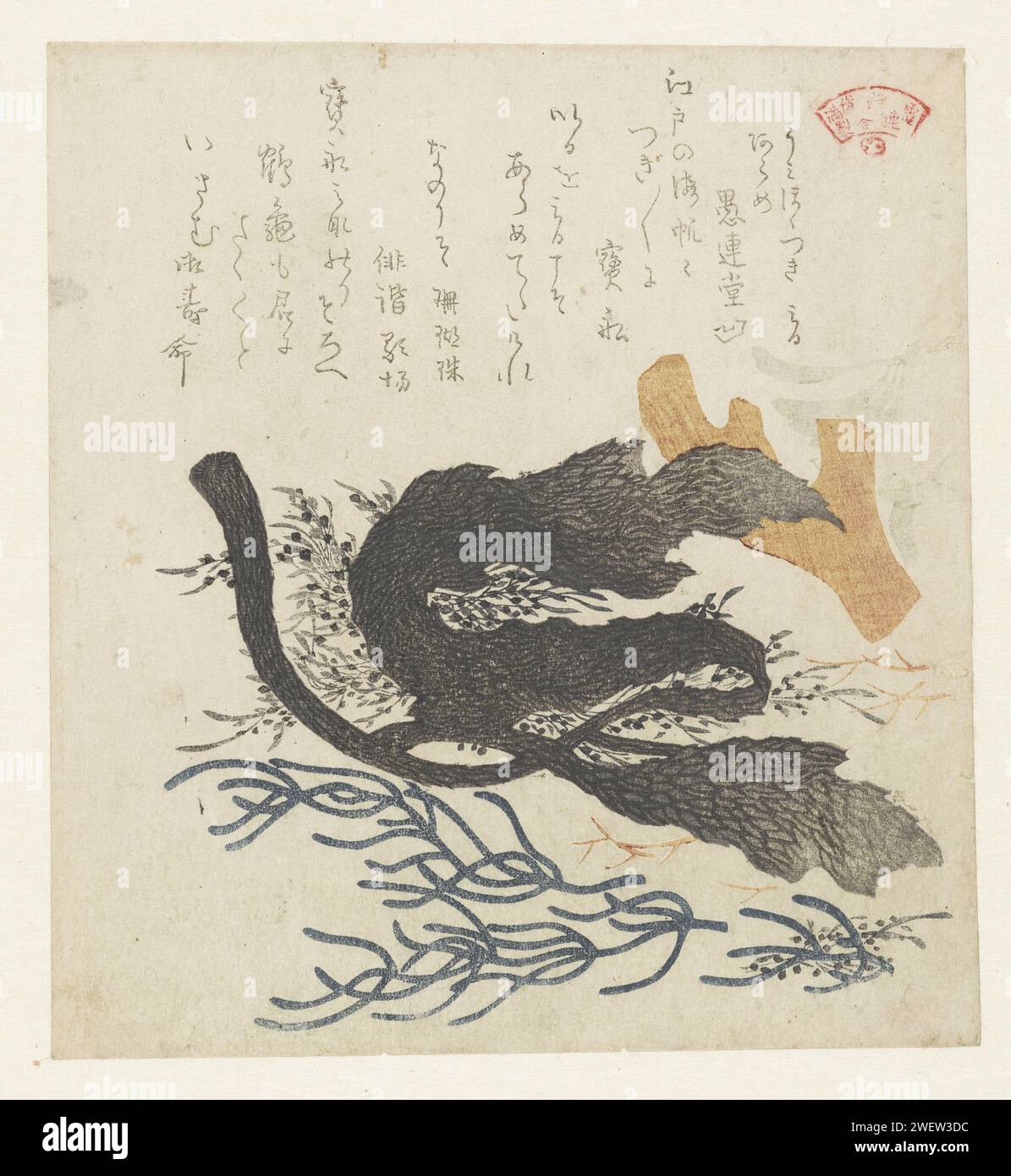 Seaweeds, c. 1815 - c. 1820 print Still life with different types of ...