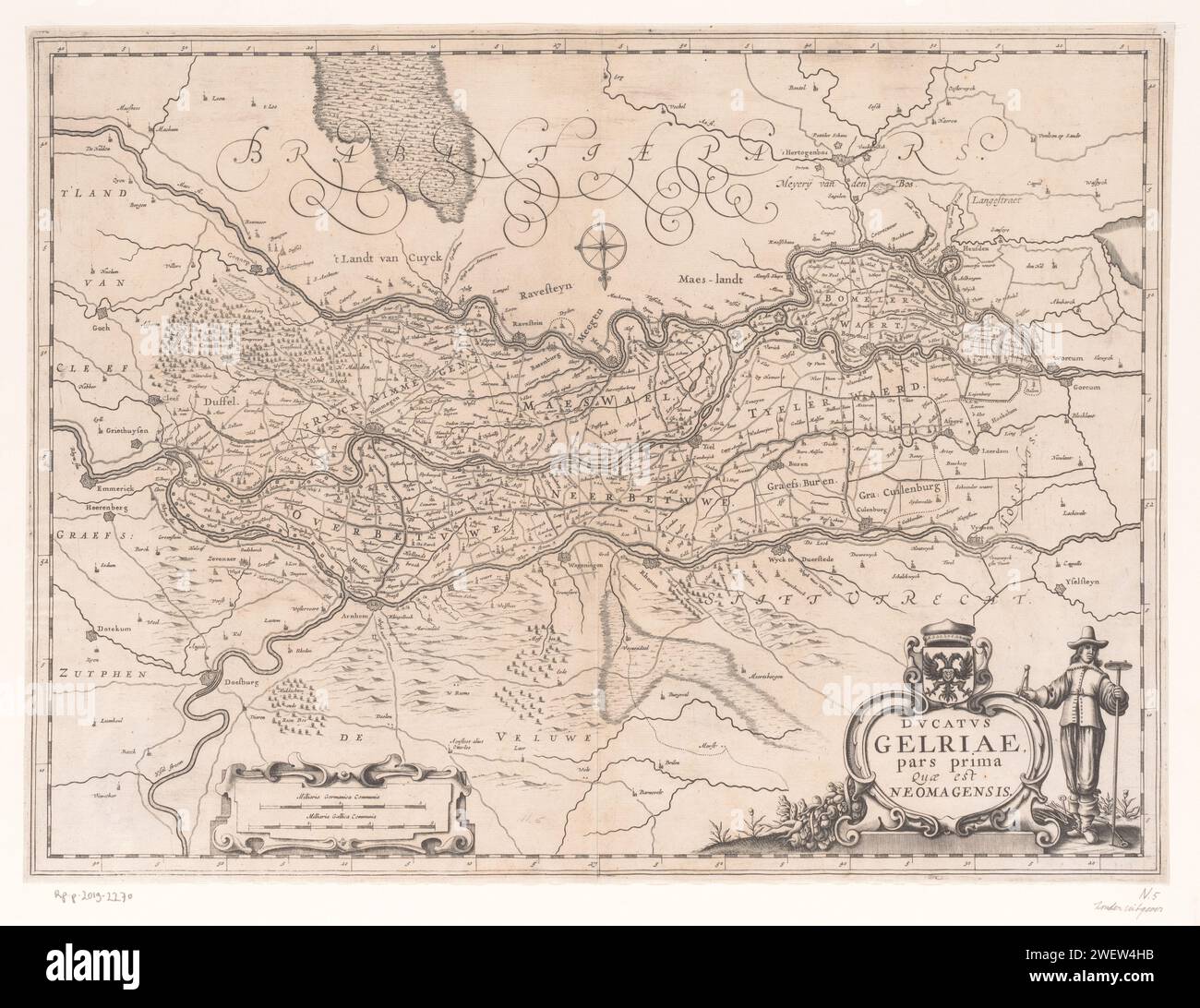 3 milliaria gallica communis hi-res stock photography and images - Alamy