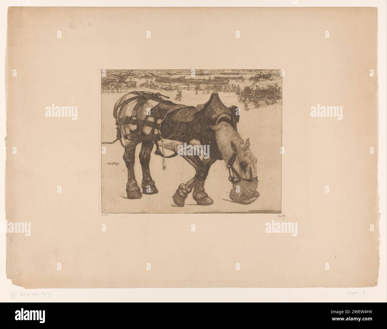 Etting Ploegaard, 1898 print paper etching horses and kindred animals ...