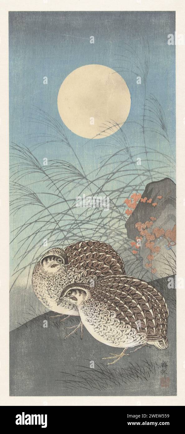 Two quail at full moon., Ohara Koson, 1900 - 1936 print Two quail ...
