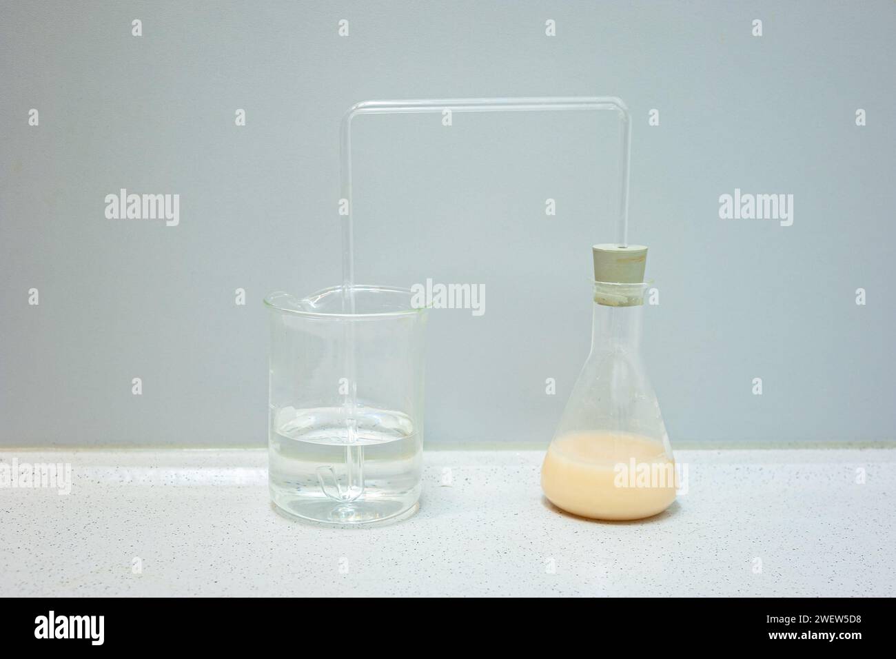 Carbon dioxide experiment hi-res stock photography and images - Alamy
