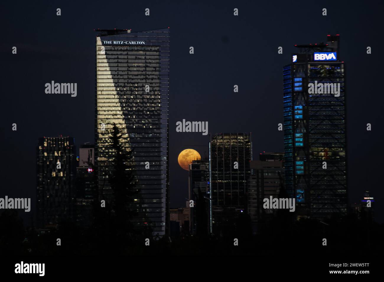Beijing, China. 25th Jan, 2024. This photo taken on Jan. 25, 2024 shows ...