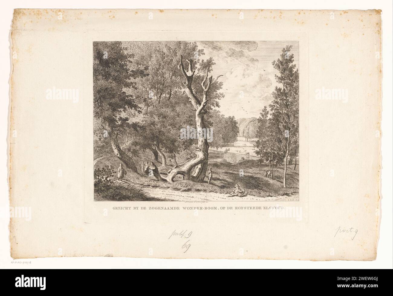 De Wonderboom on Landgoed Elswout, Leendert Overbeek, 1791 print ...