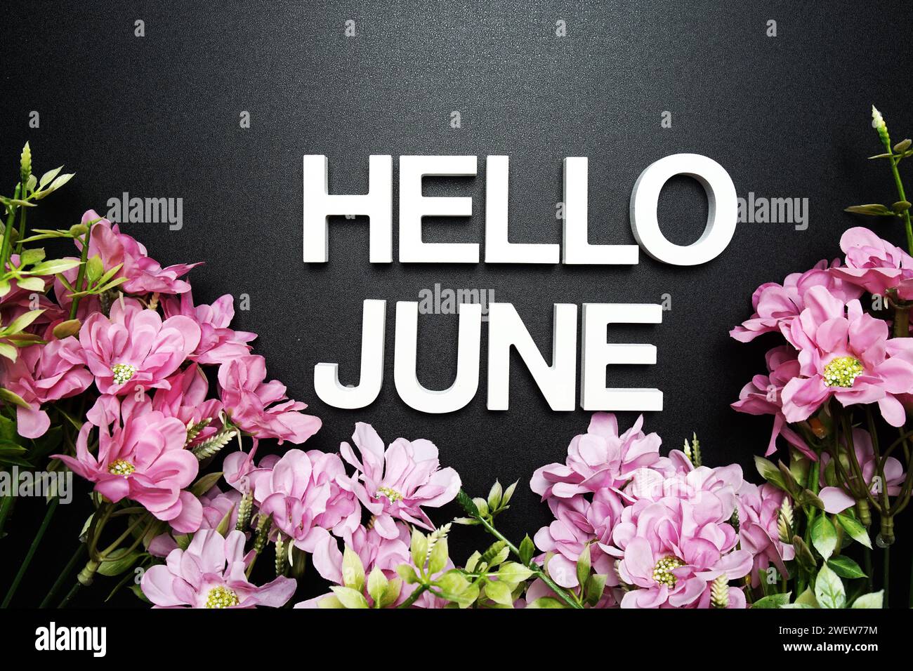 Hello June alphabet letter with flower decoration on black background ...