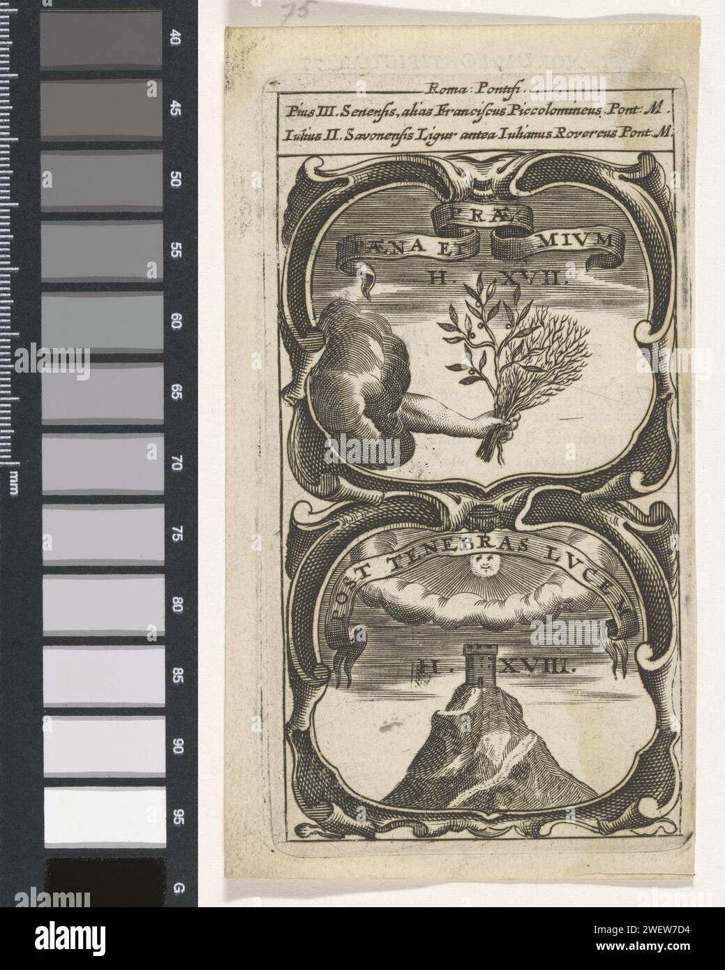 Hand with bay branch and thorn branches / mountain tower in light ...