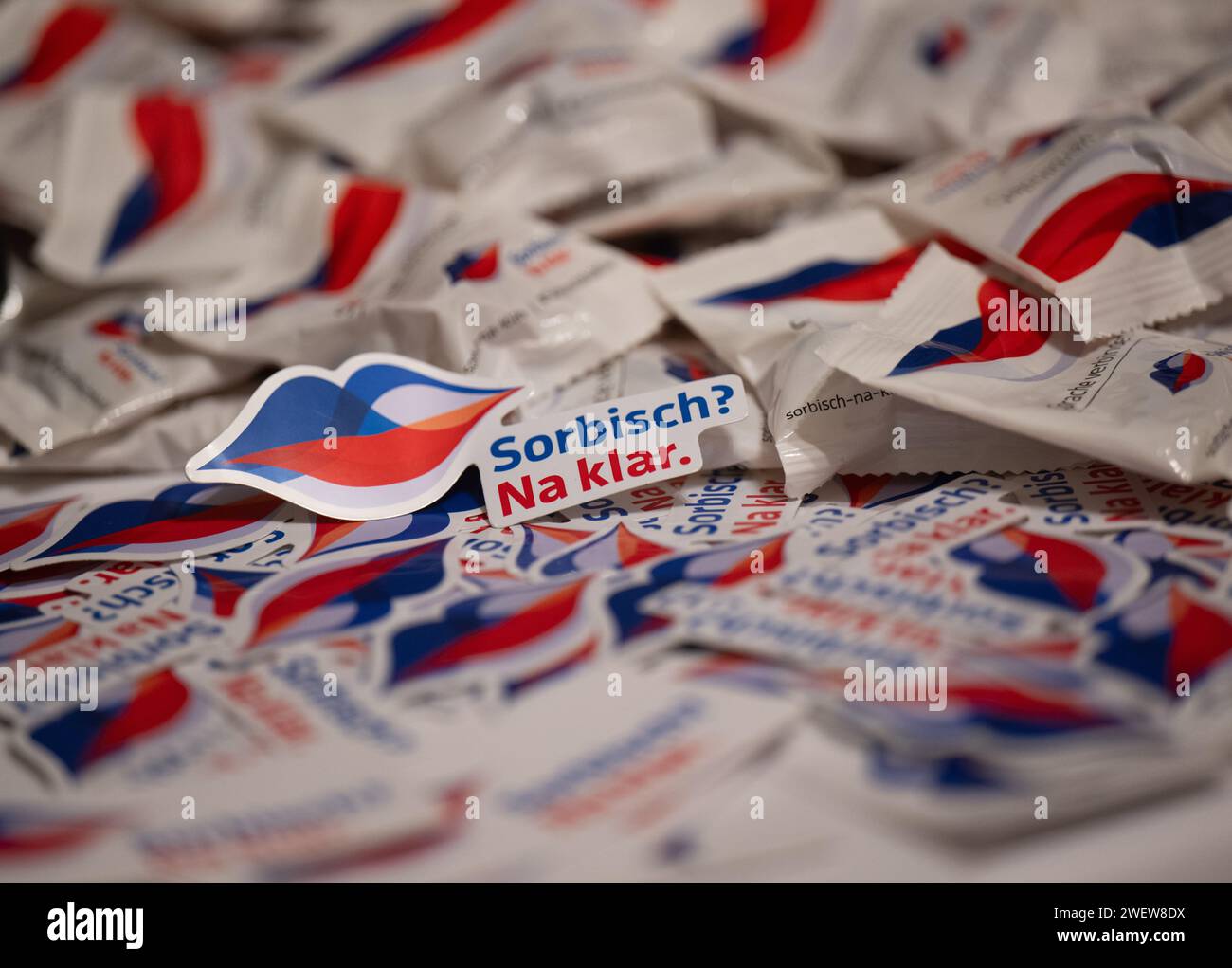 Dresden, Germany. 25th Jan, 2024. Stickers with the inscription ...