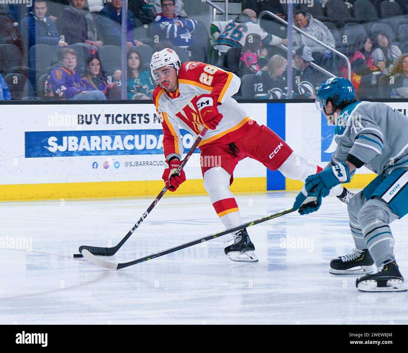 San Jose, California, USA. 26th Jan, 2024. Calgary Wranglers right wing ...