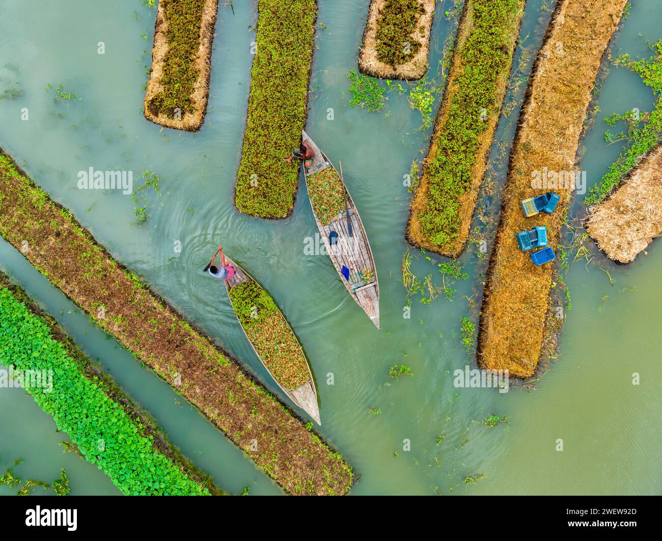 Aerial view of traditional floating garden and farmers cultivate ...