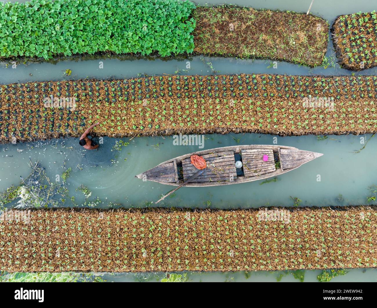 Aerial view of traditional floating garden and farmers cultivate ...