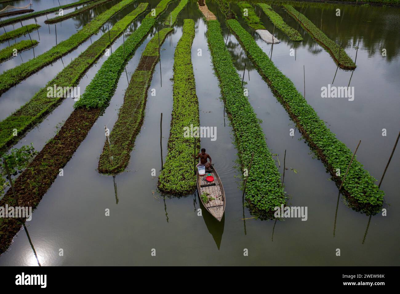 Aerial view of traditional floating garden and farmers cultivate ...