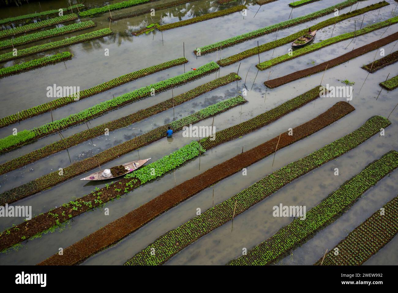 Aerial view of traditional floating garden and farmers cultivate ...
