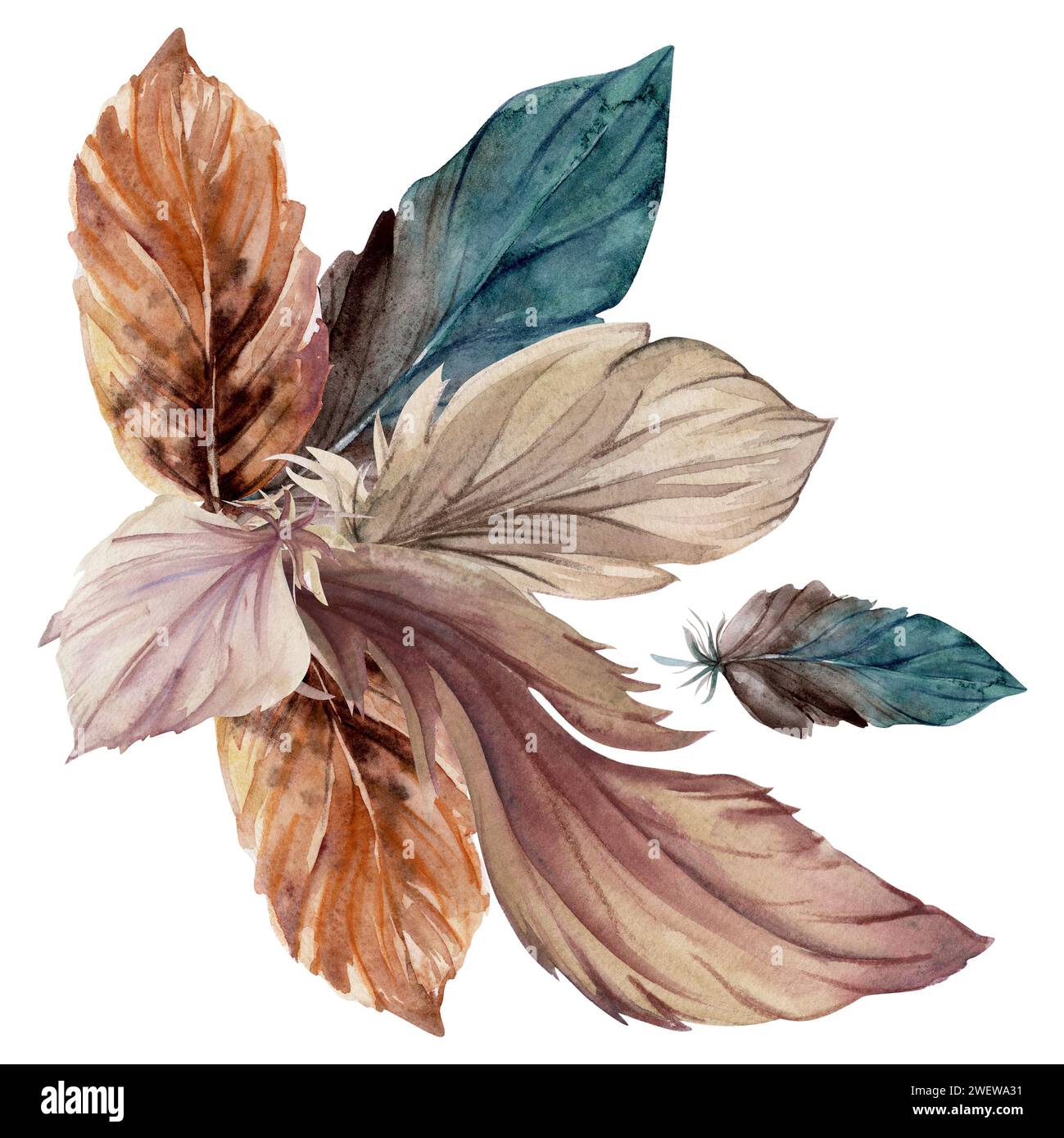 Hand drawn watercolor bird feather plume quill boho tribal ethnic ...