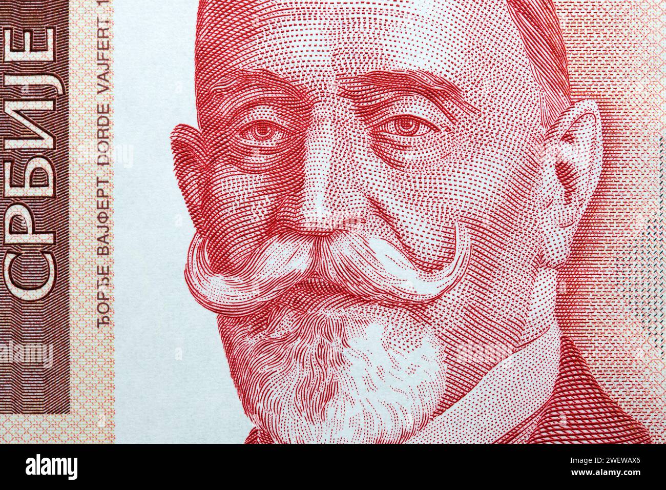 Dorde Vajfert a closeup portrait from Serbian money - Dinar Stock Photo ...