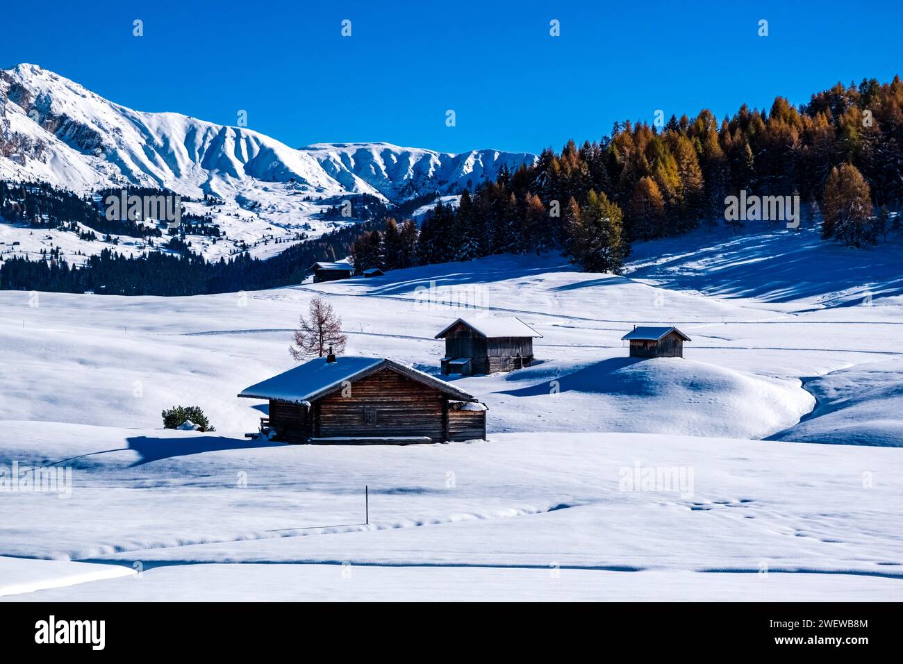 Hilly agricultural countryside with trees, wooden huts and snow-covered ...