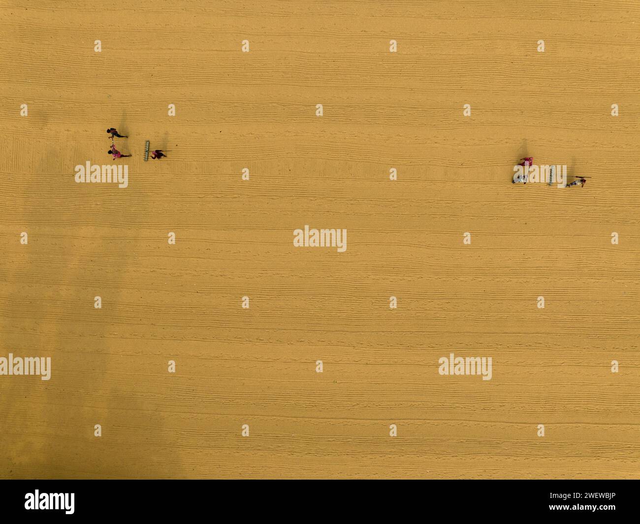 Drying out rice hi-res stock photography and images - Alamy