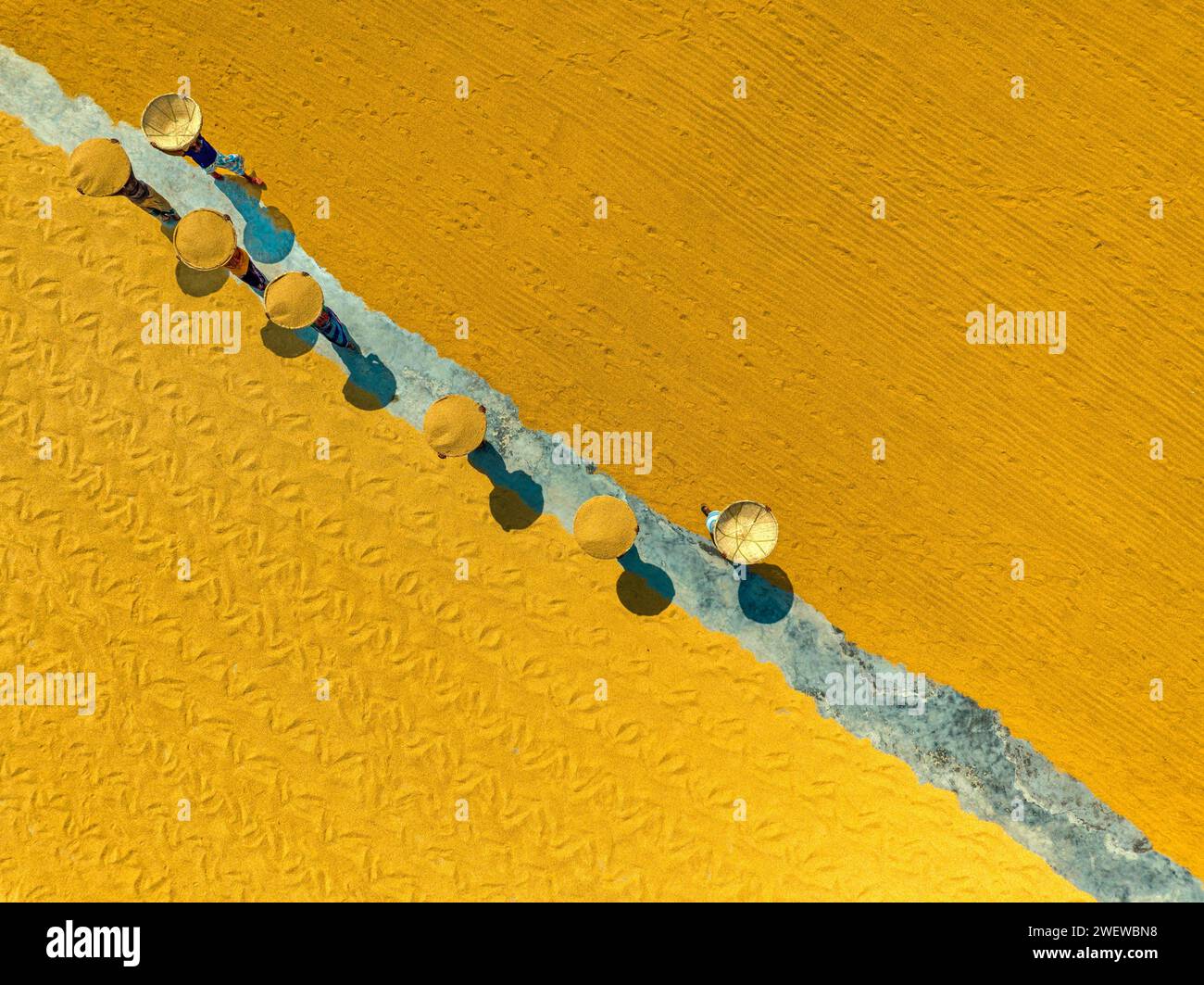 Aerial view of millions of grains of rice are laid out to dry at a mill ...