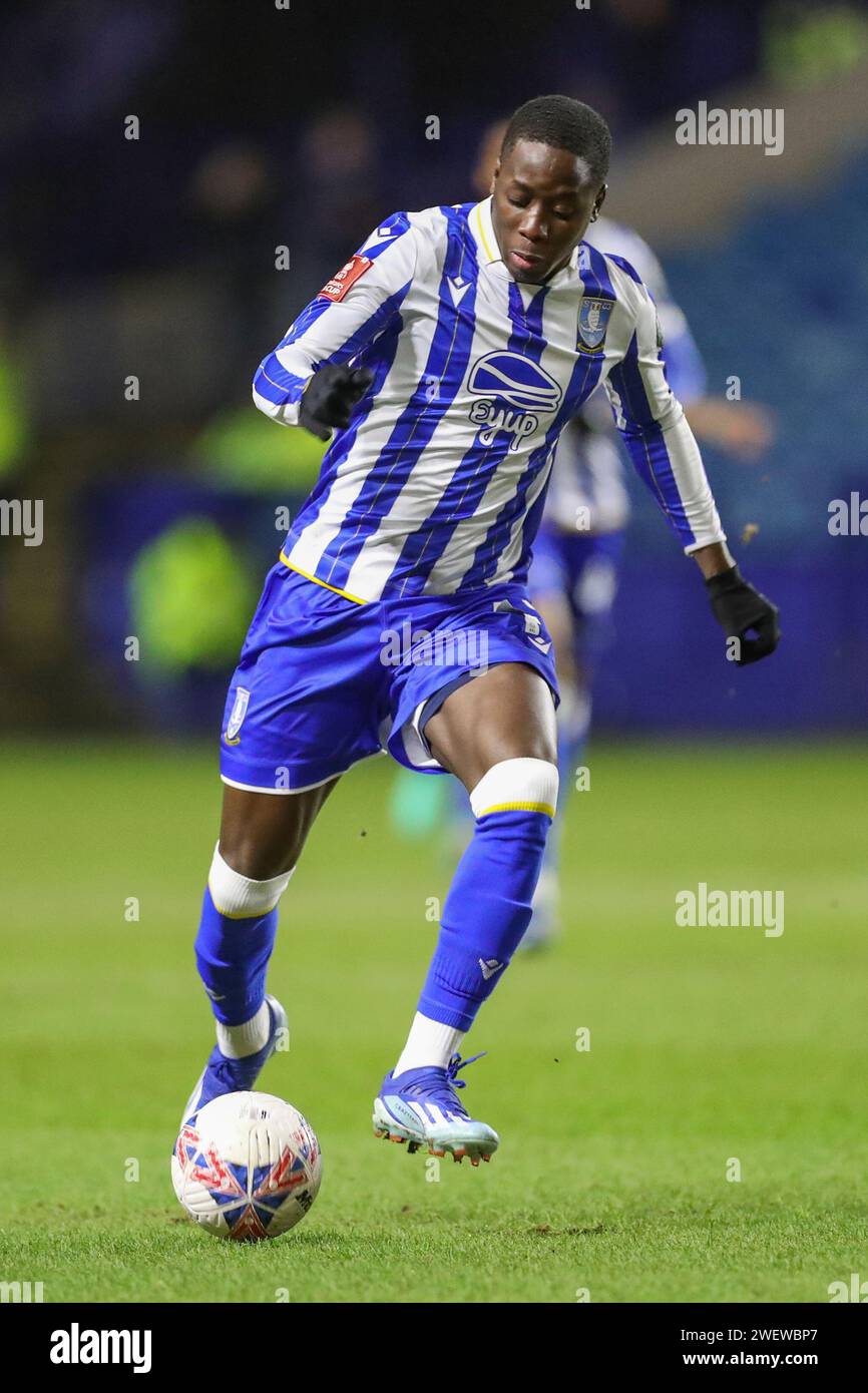 Sheffield, UK. 26th Jan, 2024. Sheffield Wednesday forward Djeidi ...