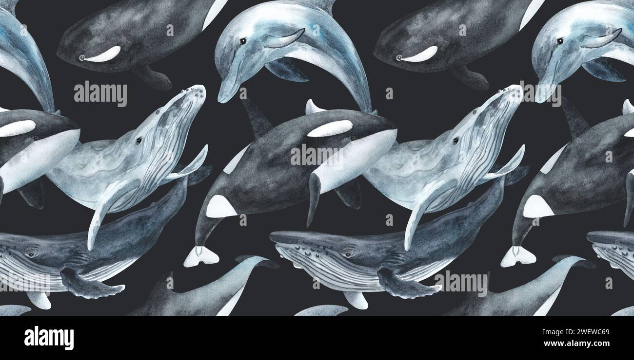 Whales seamless pattern. Repeating texture with marine mammals ...