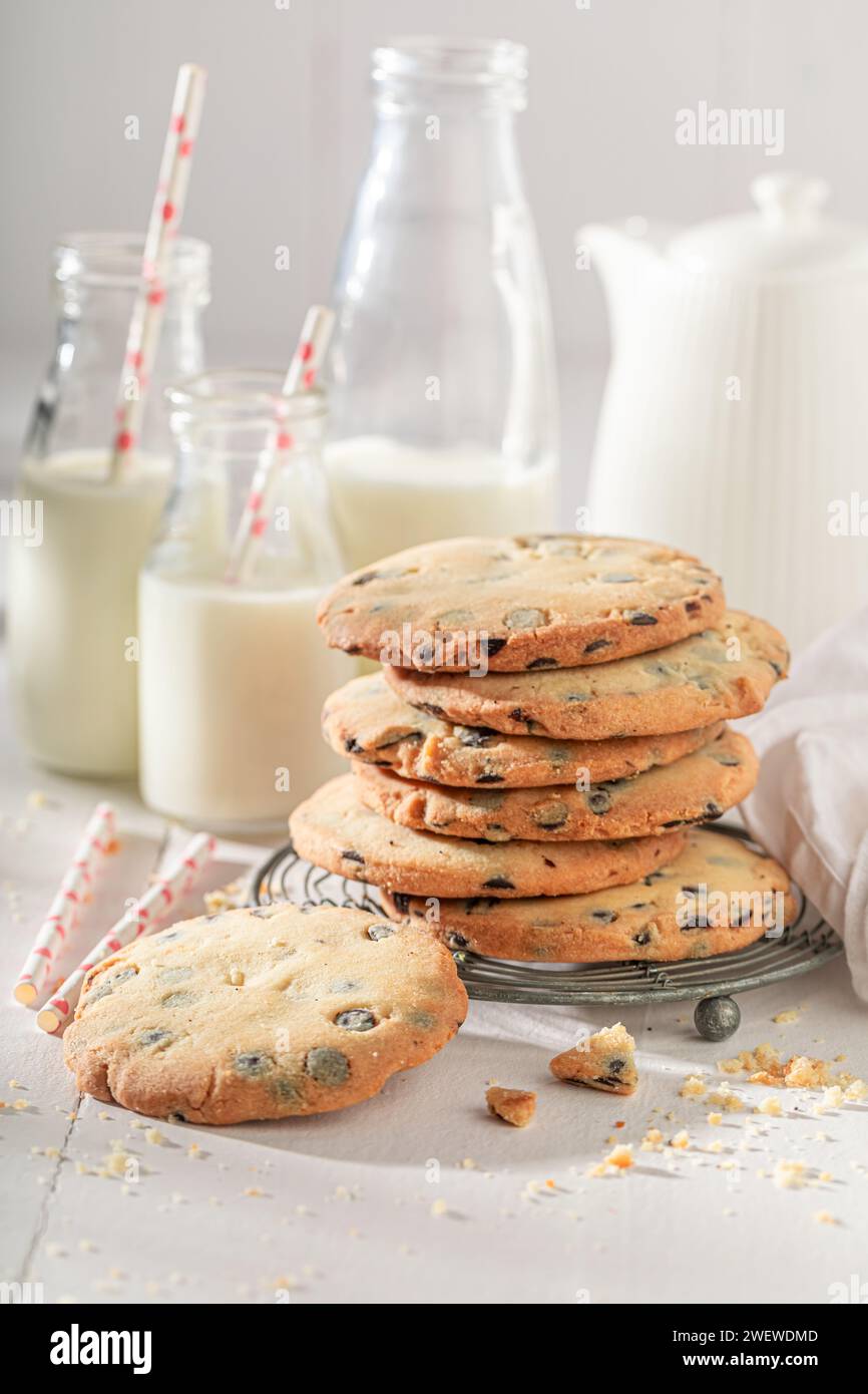 Delicious and traditionally vanilla cookies as a sweet popular snack ...