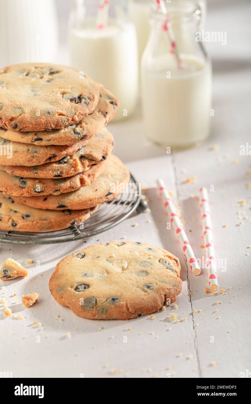 Delicious and traditionally vanilla cookies as after school milky snack ...