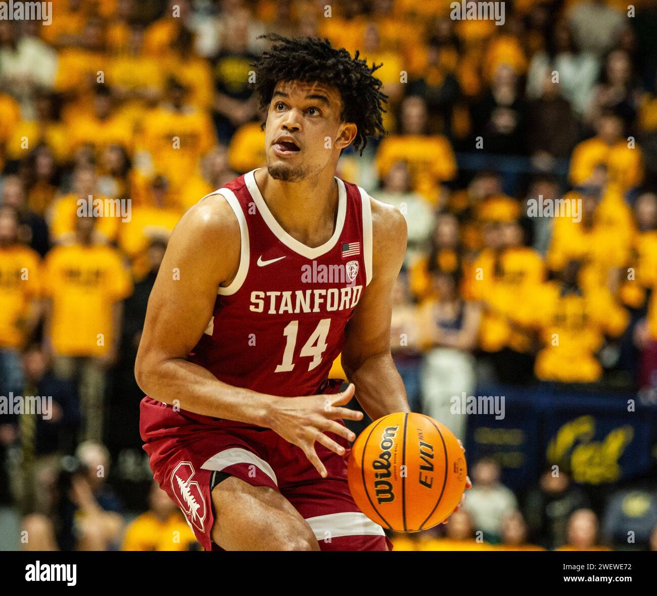 2024 0029 jpg hi-res stock photography and images - Alamy