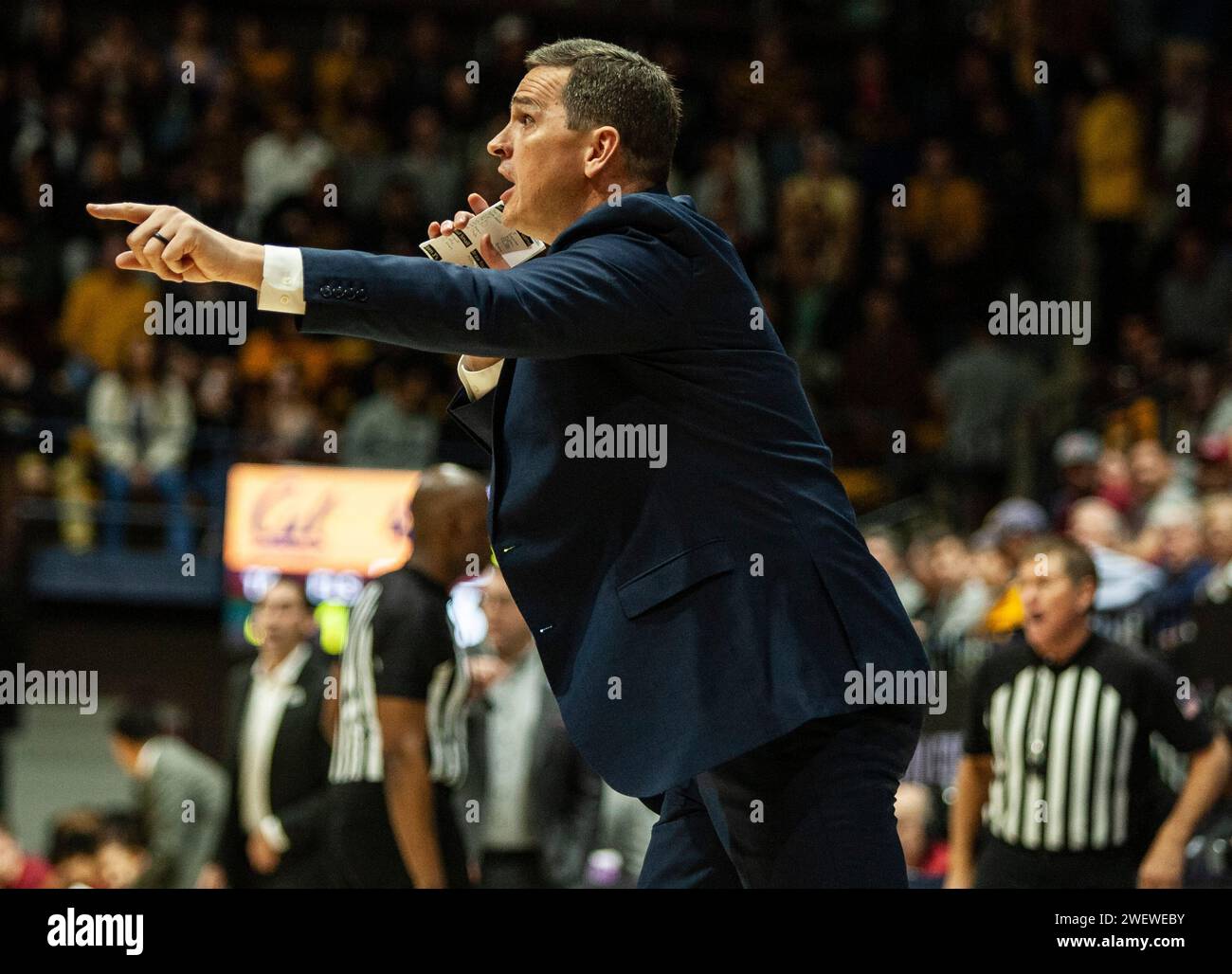 January 26 2024 Berkeley, CA U.S.A. California head coach Mark Madsen ...
