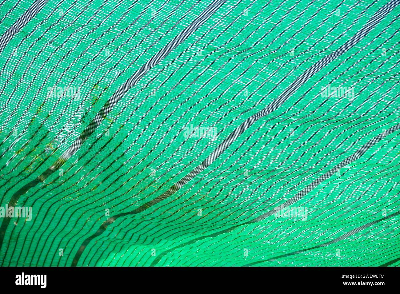 Green Shading Net protect sun light Stock Photo - Alamy