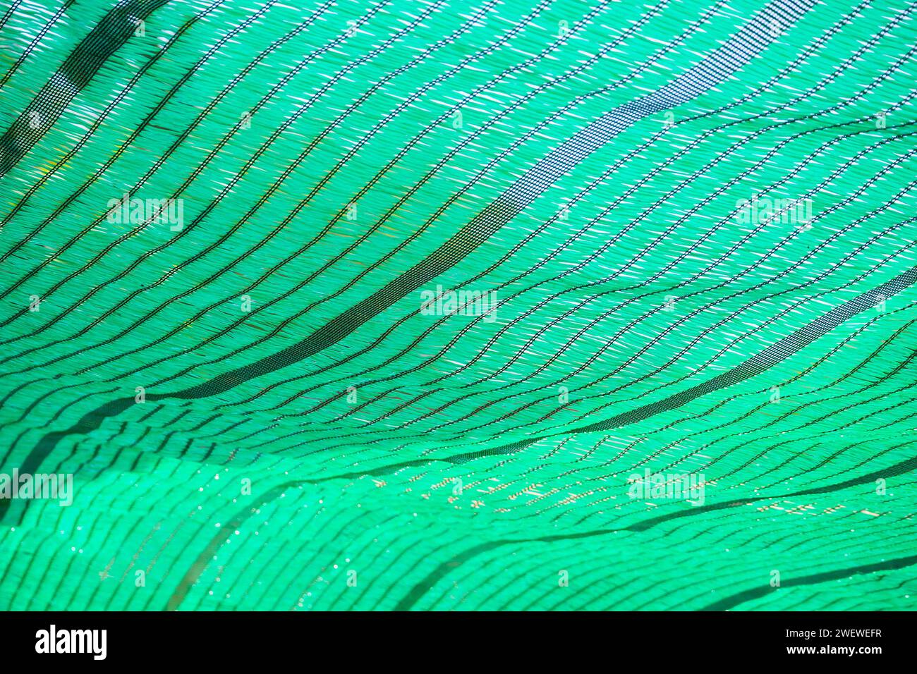Green Shading Net protect sun light Stock Photo - Alamy