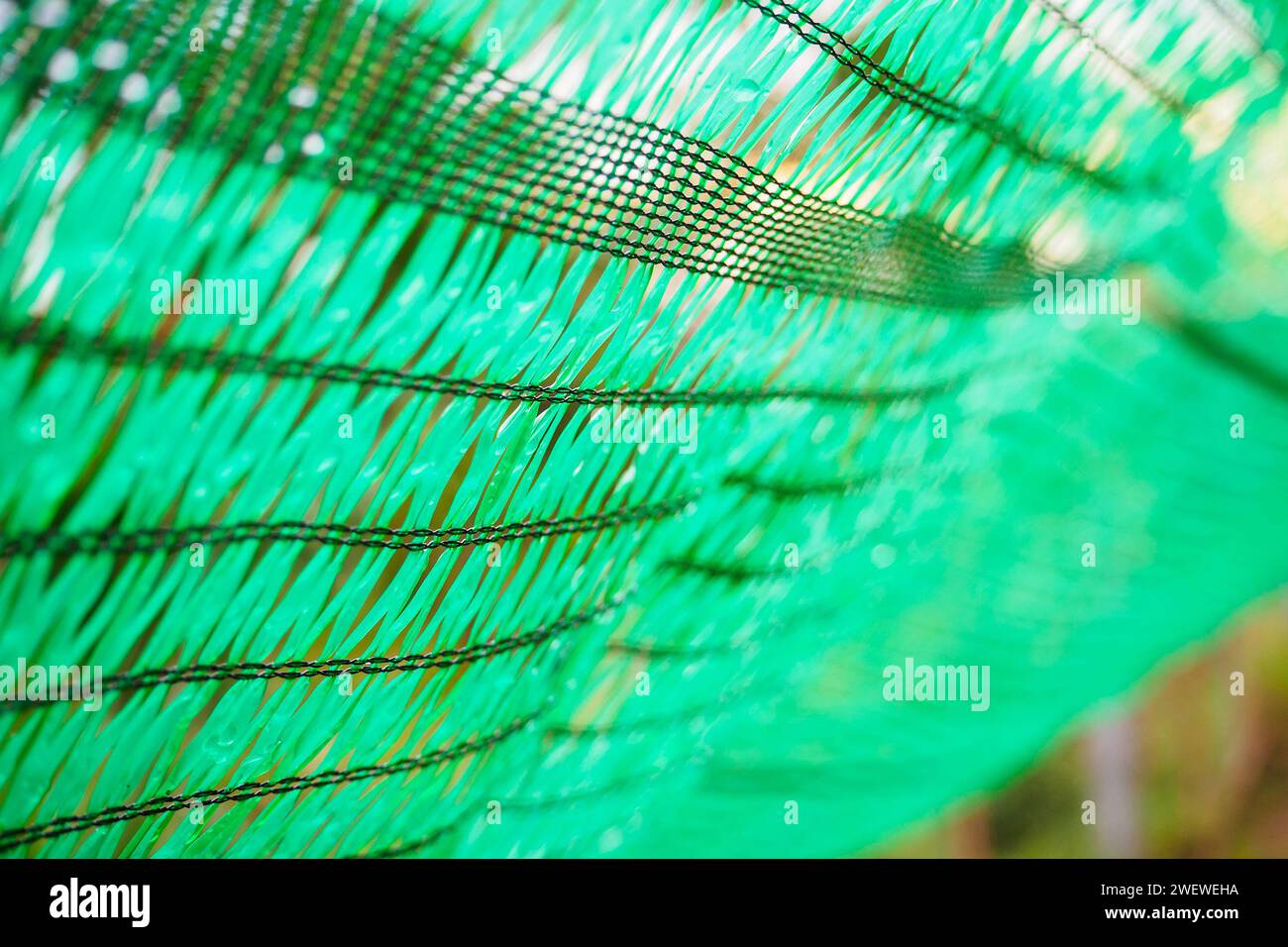 Close up Green Shading Net protect sun light Stock Photo - Alamy