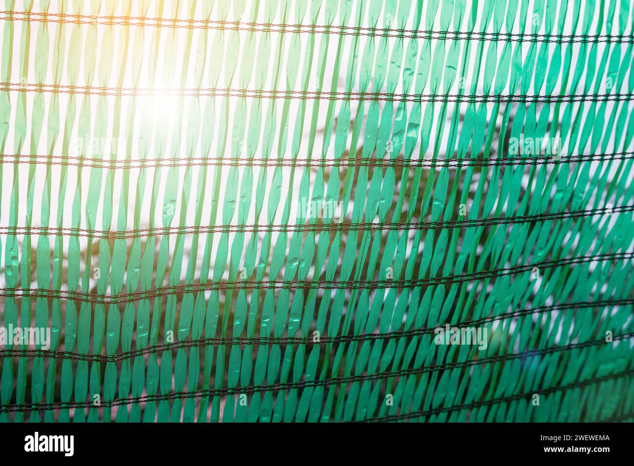 Green Shading Net for protect sun light with tree leaves shadow Stock ...