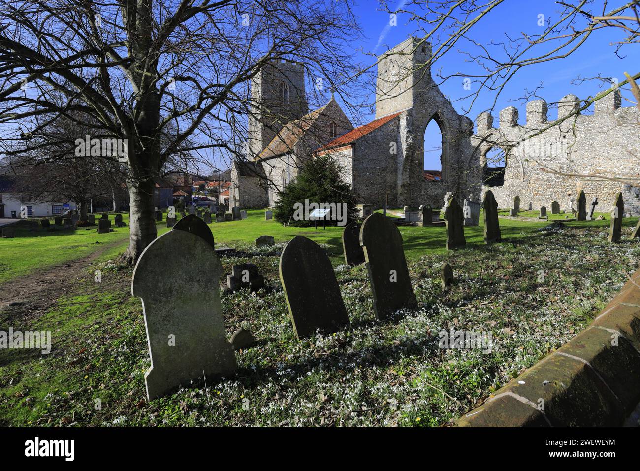 Snowdrops at Weybourne Priory and All Saints Church, Weybourne village ...
