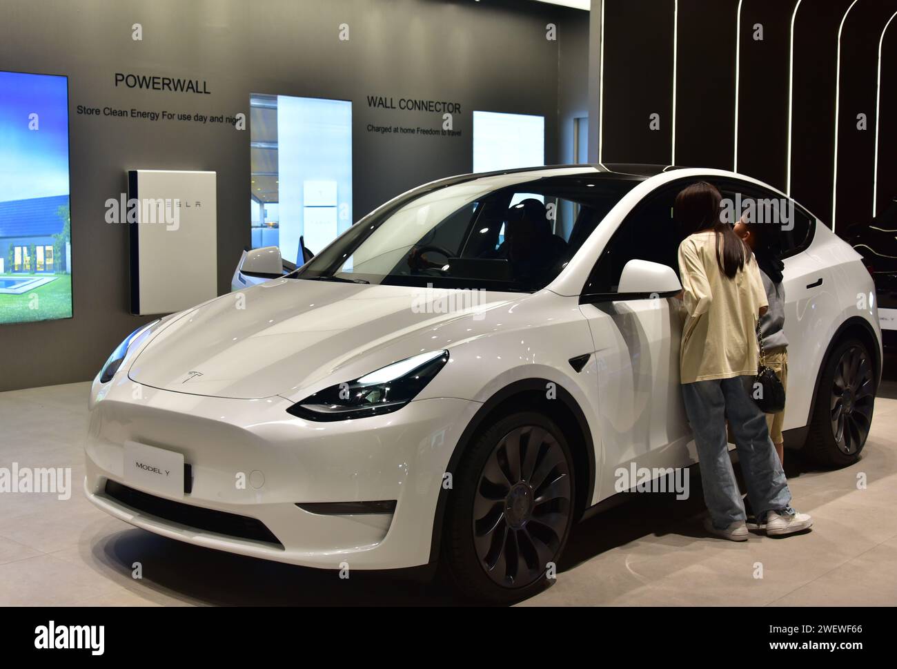 A young girl and a young boy look in the side window of a Tesla car on ...