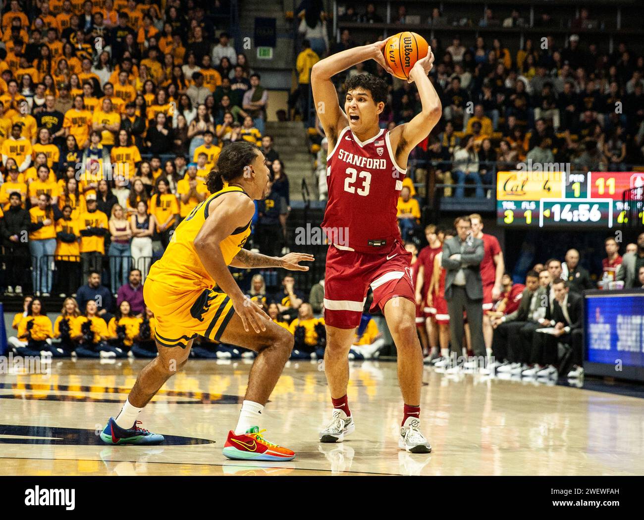 2024 0096 jpg hi-res stock photography and images - Alamy