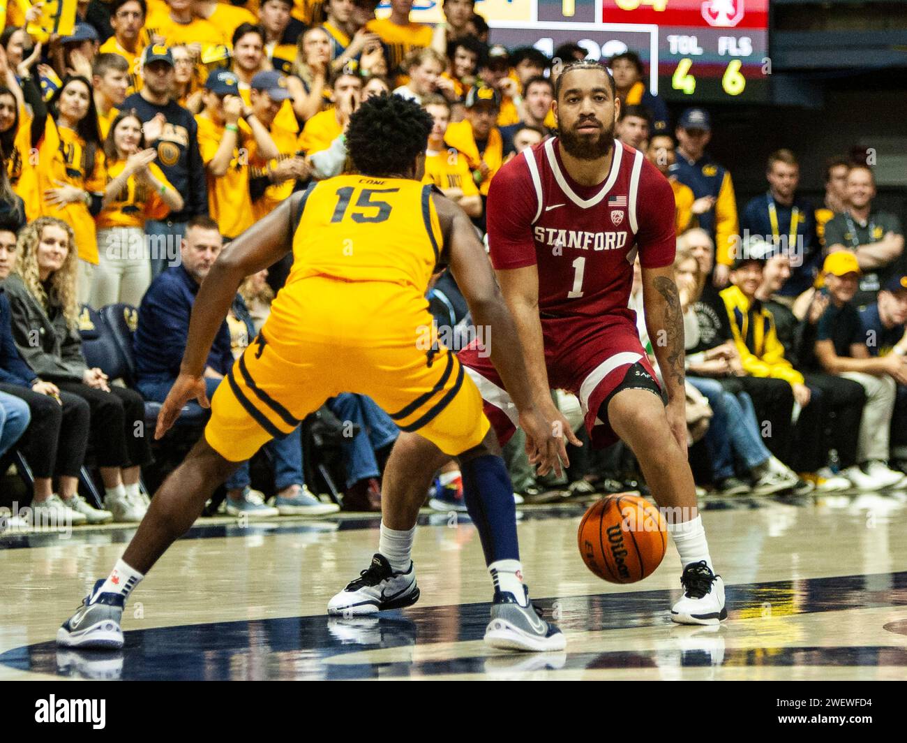 2024 0333 jpg hi-res stock photography and images - Alamy