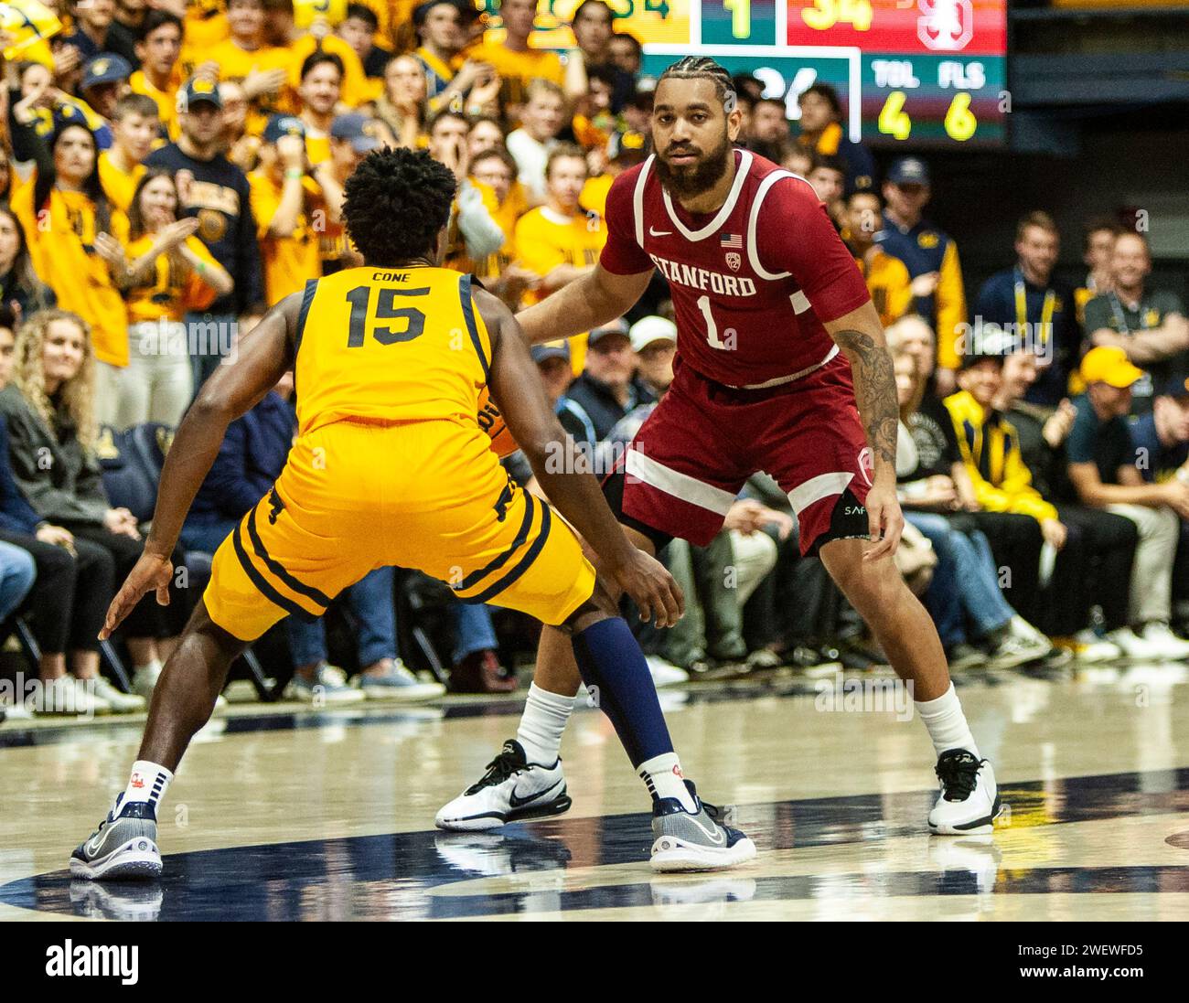 2024 0330 jpg hi-res stock photography and images - Alamy