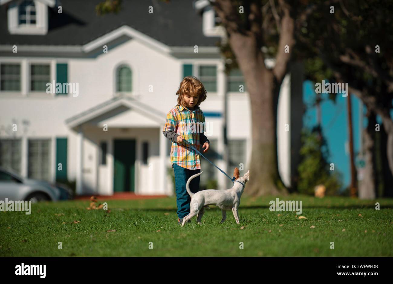 Dog runs from kid playing chase game at summer lawn. Happy Puppy Stock ...
