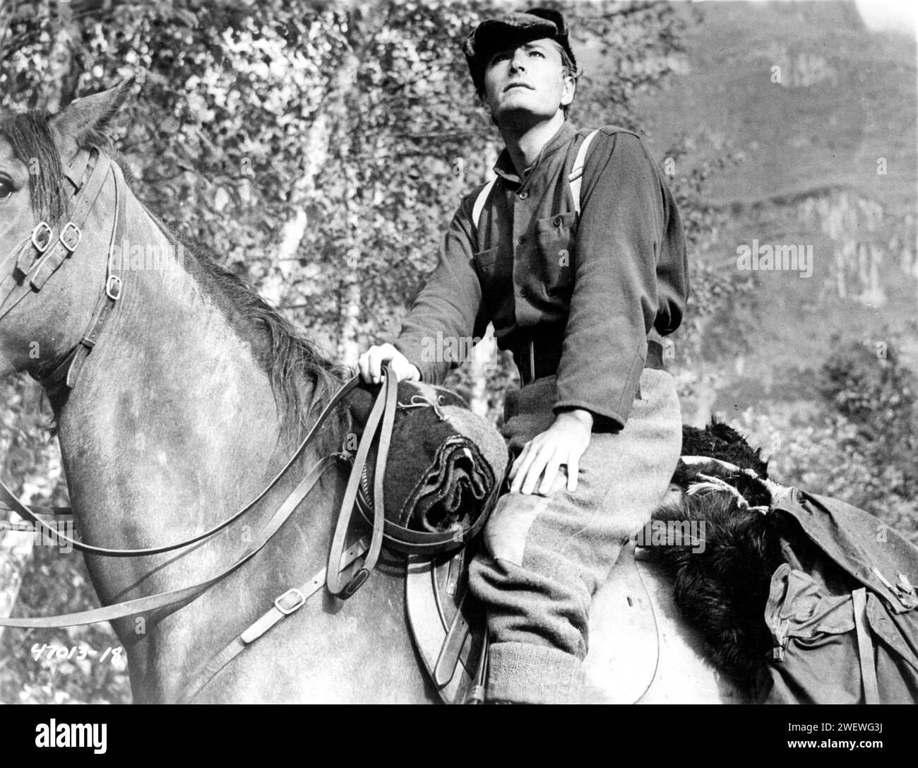 John derek horse hi-res stock photography and images - Alamy