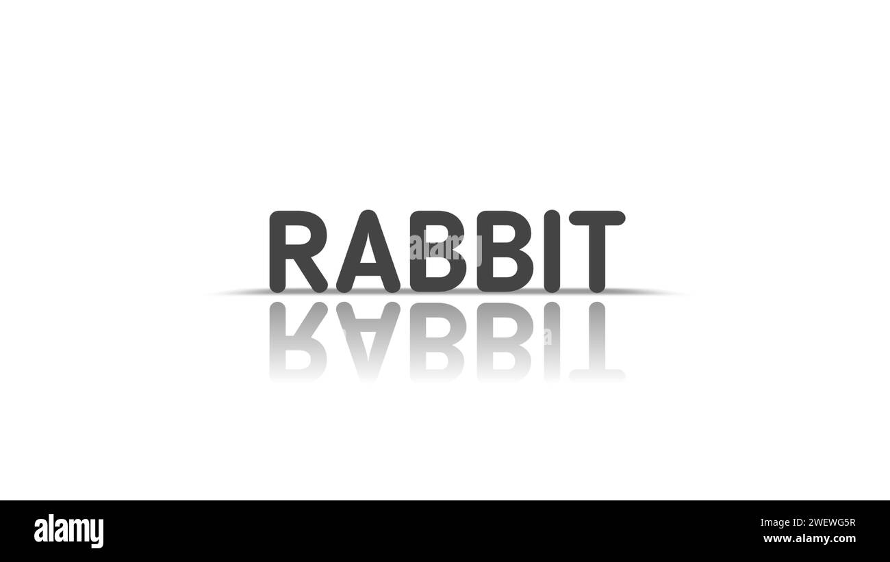 Rabbit text typography with 3d shadow and reflection effect on white ...