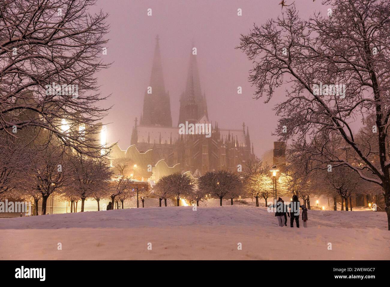 view from the Rhinegarden to the cathedral and the Museum Ludwig, snow ...