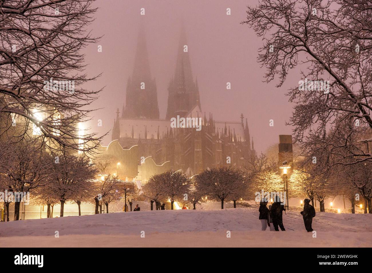 view from the Rhinegarden to the cathedral and the Museum Ludwig, snow ...