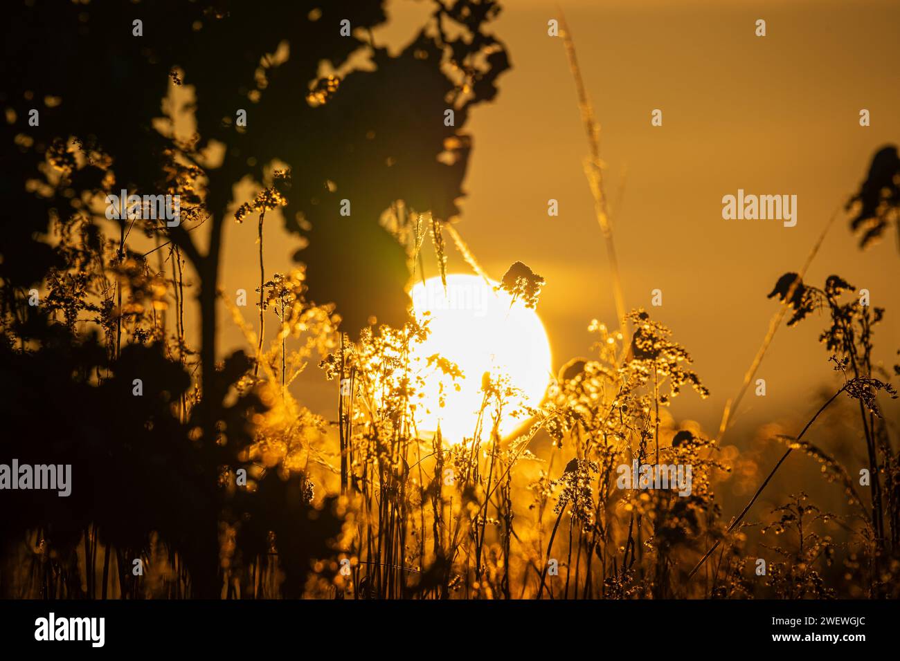 Picture sunrise hi-res stock photography and images - Alamy