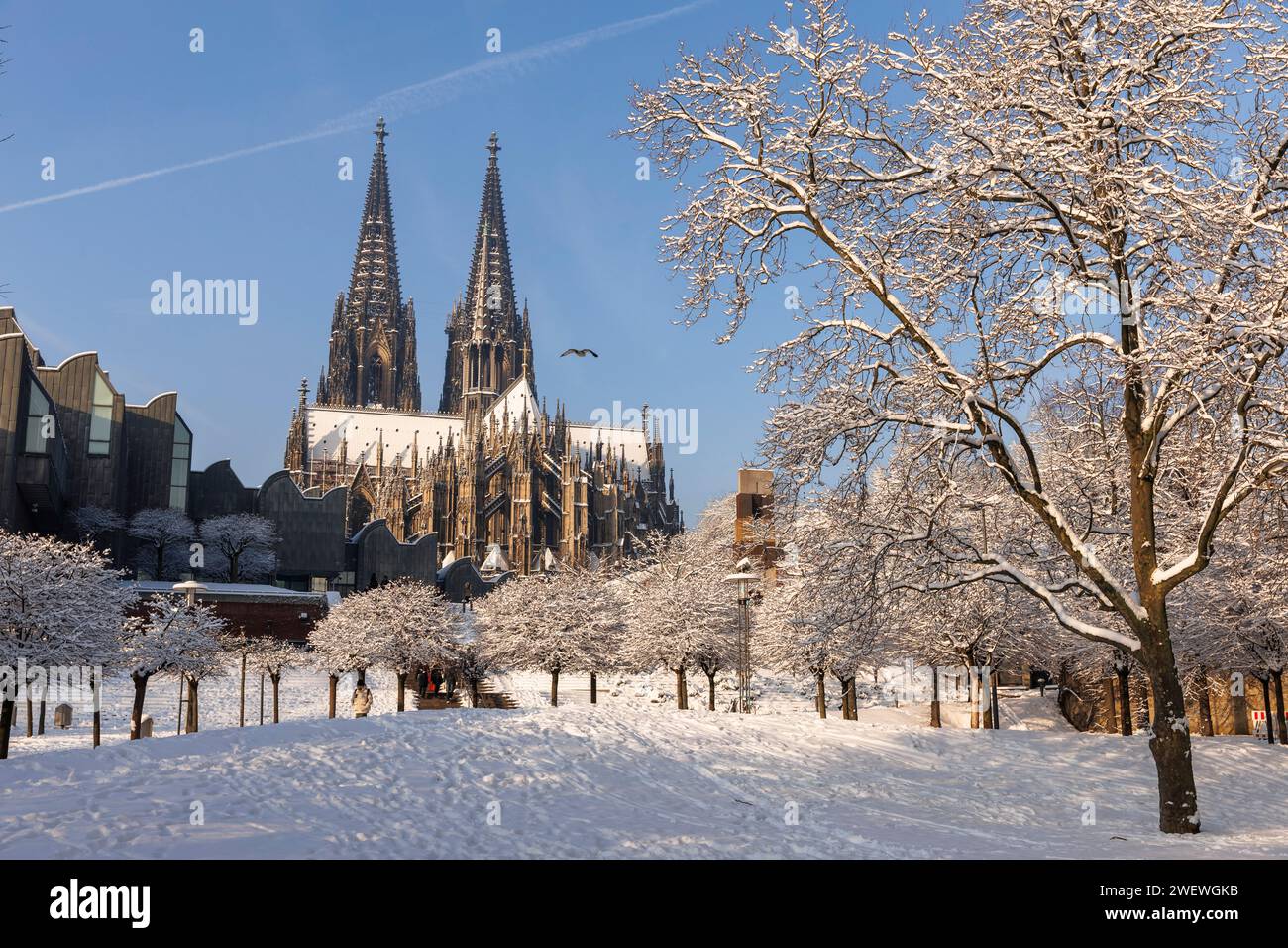 view from the Rhinegarten to the cathedral and the Museum Ludwig, snow ...