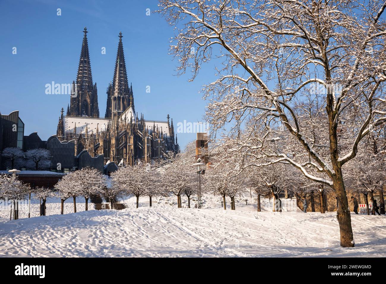 view from the Rhinegarten to the cathedral and the Museum Ludwig, snow ...