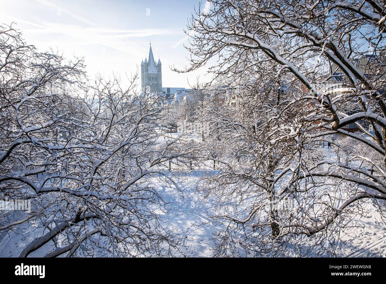 view from the Rhinegarden to the romanesque church Gross St. Martin ...