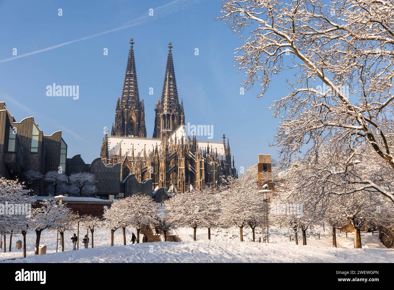 view from the Rhinegarten to the cathedral and the Museum Ludwig, snow ...