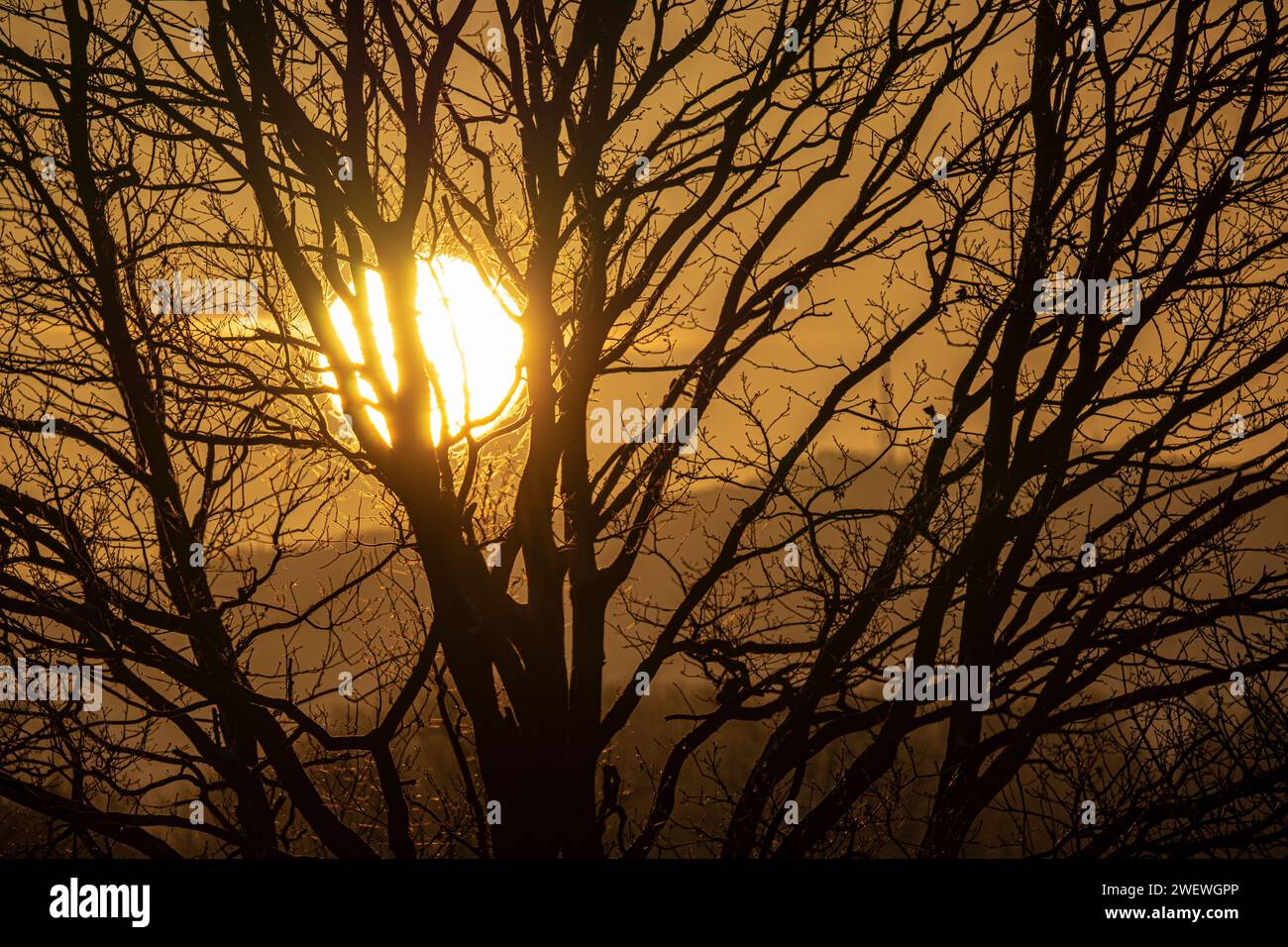 Summer winter colors hi-res stock photography and images - Alamy