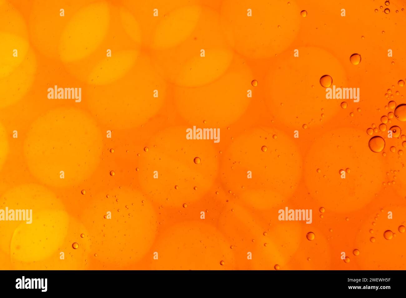 Orange holiday empty space template with round bubble pattern blurred ...