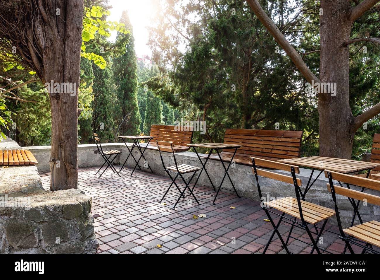 Charming outdoor cafe setting with wooden furniture in a lush pine ...